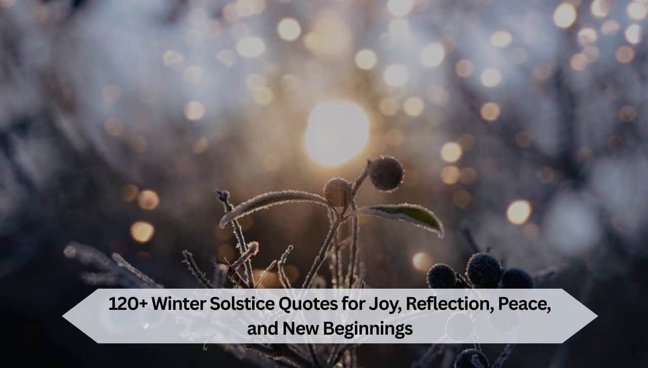 120+ Winter Solstice Quotes for Joy, Reflection, Peace, and New ...